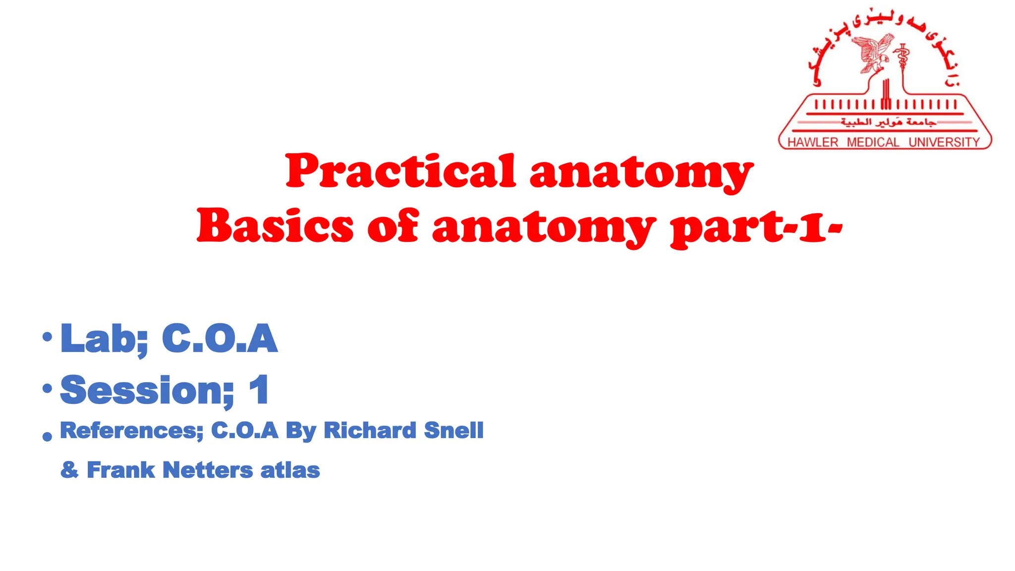 an introduction to human anatomy basics and terminology | PPTX