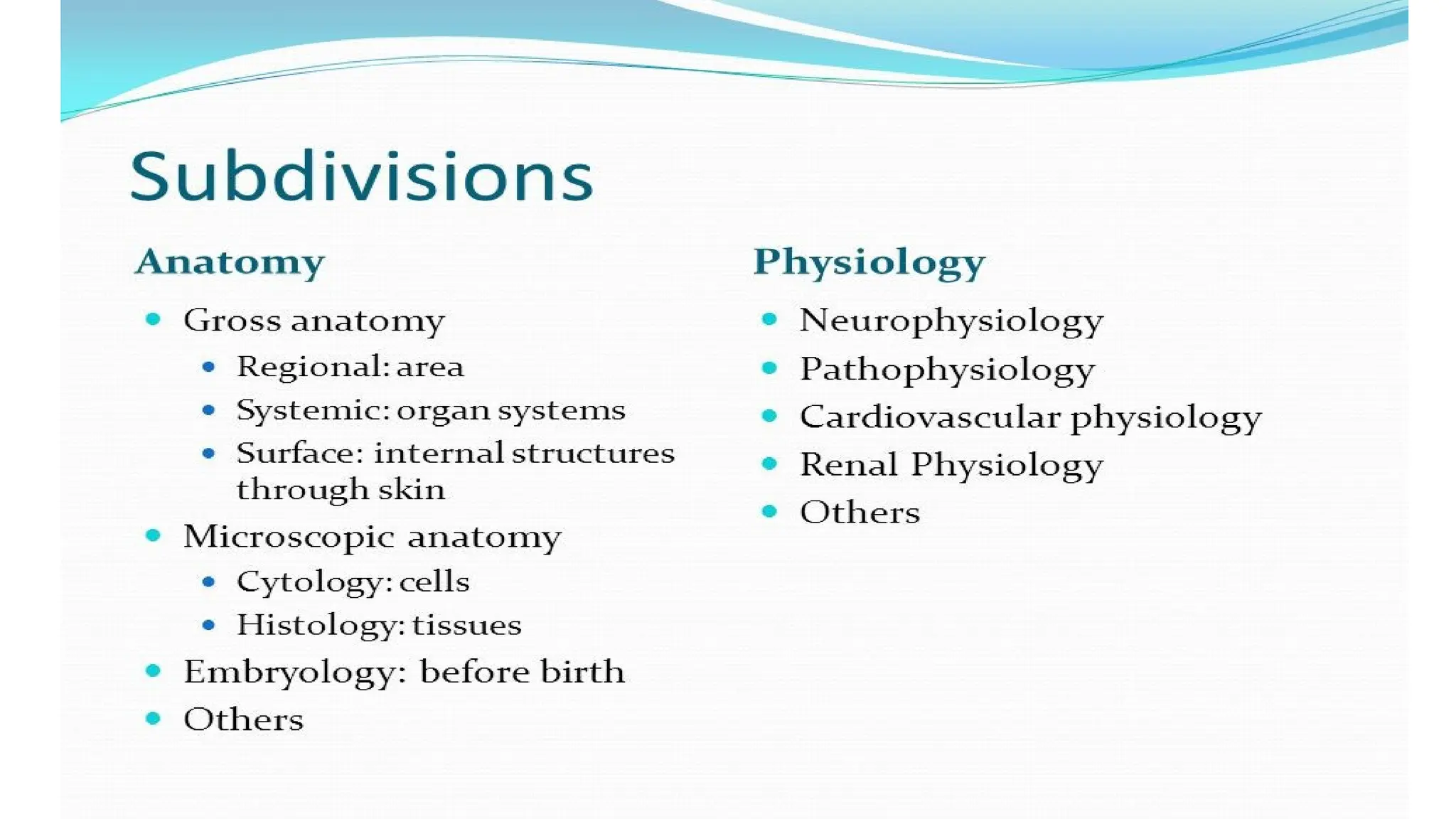 an introduction to human anatomy basics and terminology | PPTX