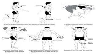 an introduction to human anatomy basics and terminology | PPTX