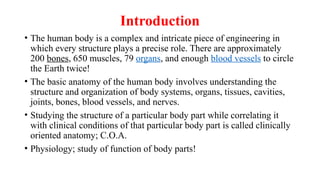 an introduction to human anatomy basics and terminology | PPTX