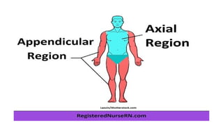 an introduction to human anatomy basics and terminology part 2 | PPT