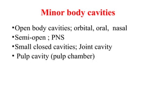 clinically oriented anatomy of human body cavities | PPTX