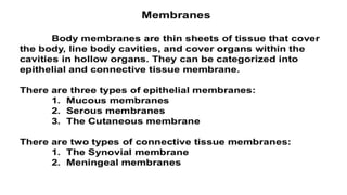clinical anatomy of serous body membranes | PPTX | Digestive Disorders ...