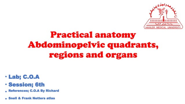 clinically oriented anatomy ; abdomino-pelvic quadrants and regions ...