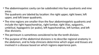 clinically oriented anatomy ; abdomino-pelvic quadrants and regions | PPTX