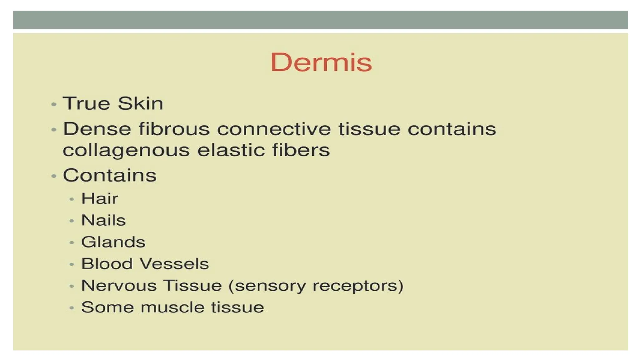 organ systems ; integumentary system; skin and fascia | PPTX | Skin and ...