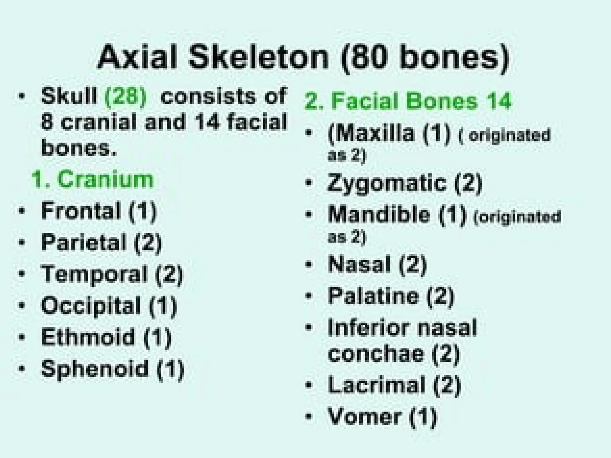osteology ; the anatomy of human skeleton for dental students | PPT