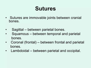 Clinical anatomy of the human Skull and associated landmarks | PPTX