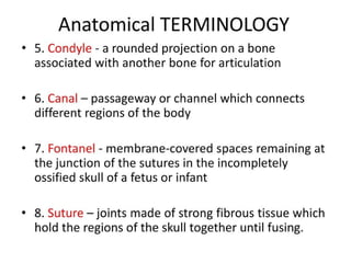 Clinical anatomy of the human Skull and associated landmarks | PPTX