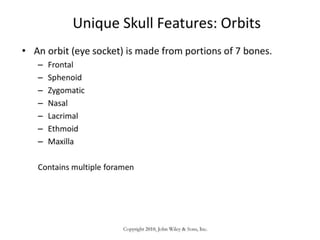 Clinical anatomy of the human Skull and associated landmarks | PPTX