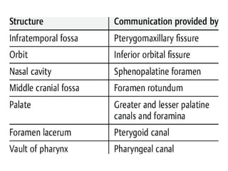 Clinical anatomy of the human Skull and associated landmarks | PPTX