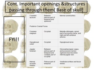 Clinical anatomy of the human Skull and associated landmarks | PPTX
