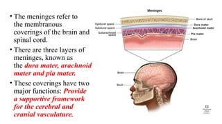 meninges, Dural sinuses and CSF circulation.pptx