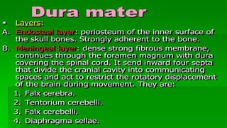 meninges, Dural sinuses and CSF circulation.pptx
