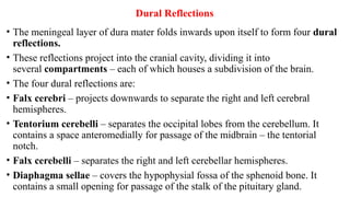 meninges, Dural sinuses and CSF circulation.pptx