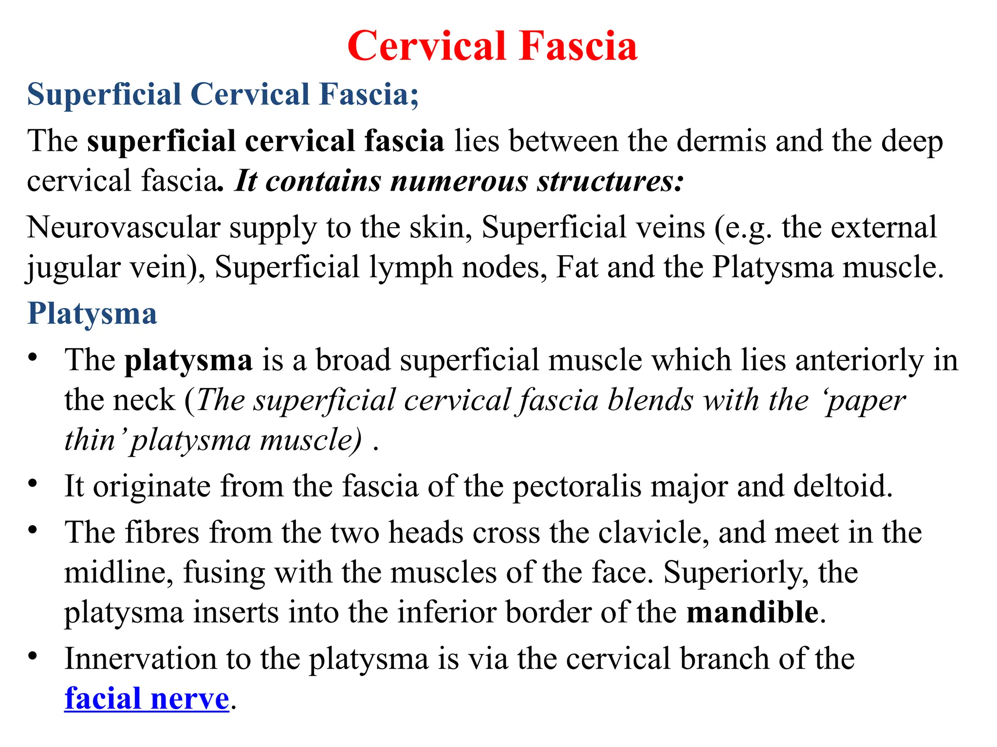 the complex anatomy of the neck; clinically oriented | PPTX