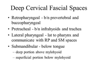 the complex anatomy of the neck; clinically oriented | PPTX