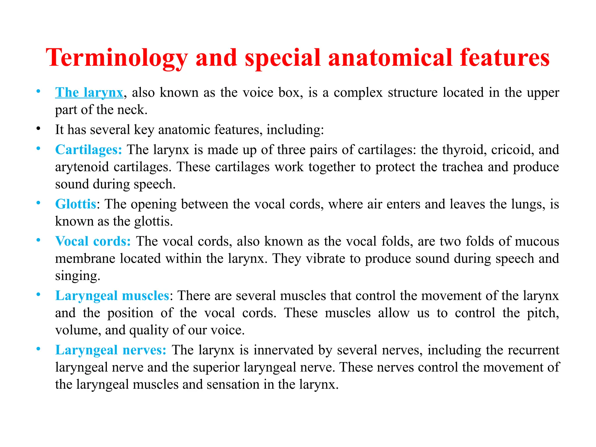 clinically oriented anatomy of pharynx and larynx | PPTX