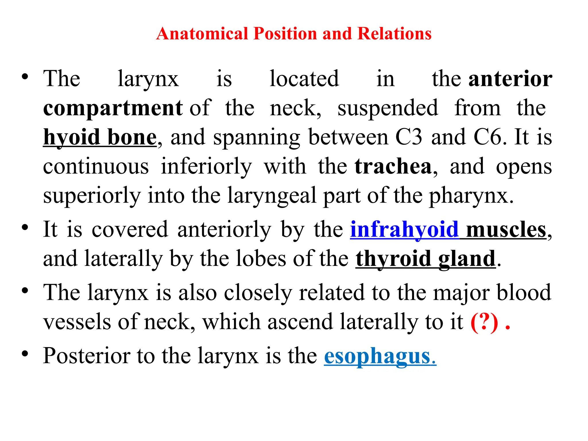 clinically oriented anatomy of pharynx and larynx | PPTX