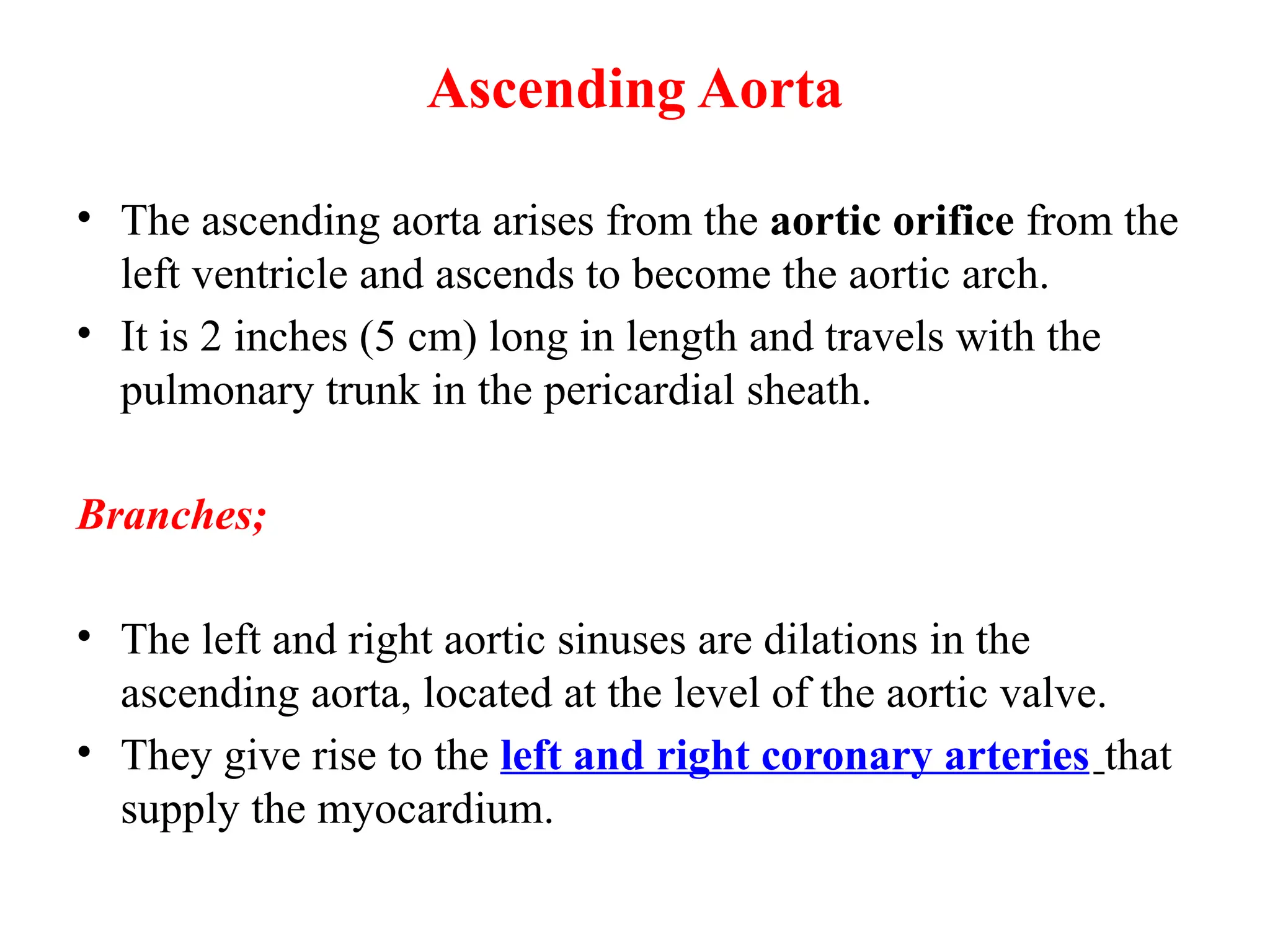 clinically oriented Anatomy of aorta & its branches.pptx