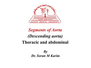 clinically oriented Anatomy of aorta & its branches.pptx