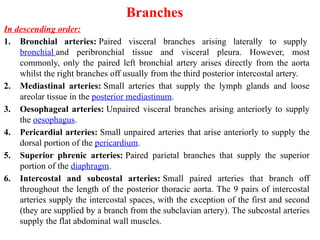 clinically oriented Anatomy of aorta & its branches.pptx