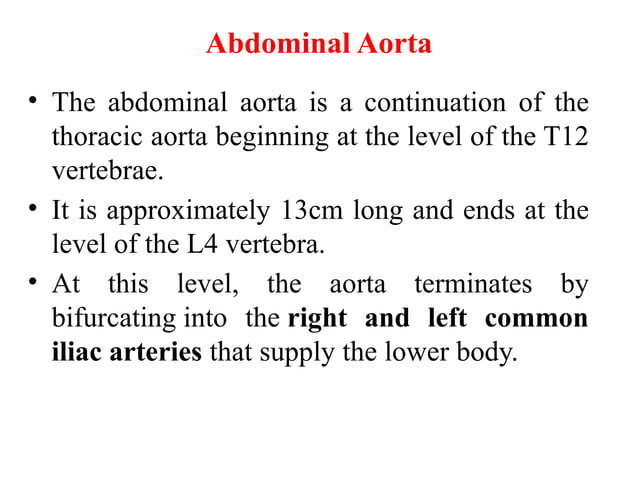 clinically oriented Anatomy of aorta & its branches.pptx | Heart and ...