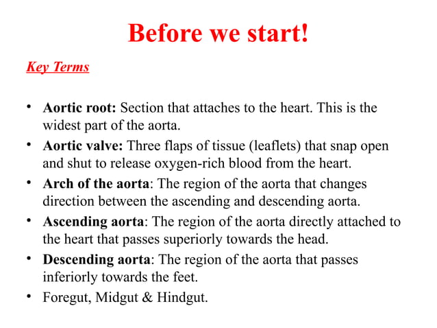 clinically oriented Anatomy of aorta & its branches.pptx | Heart and ...