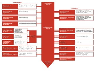 clinically oriented Anatomy of aorta & its branches.pptx