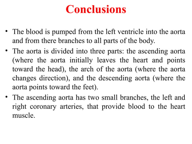 clinically oriented Anatomy of aorta & its branches.pptx | Heart and Cardiovascular Diseases ...