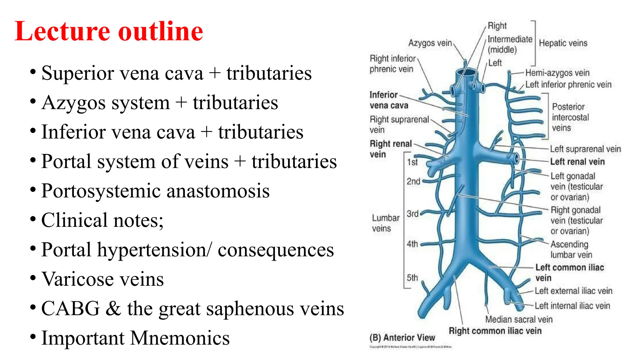 venous drainage of thorax and abdomen including portal system | PPTX