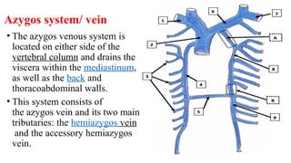 venous drainage of thorax and abdomen including portal system | PPTX