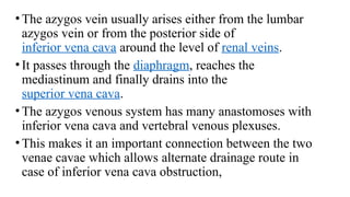venous drainage of thorax and abdomen including portal system | PPTX