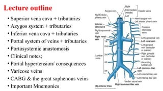 venous drainage of thorax and abdomen including portal system | PPTX