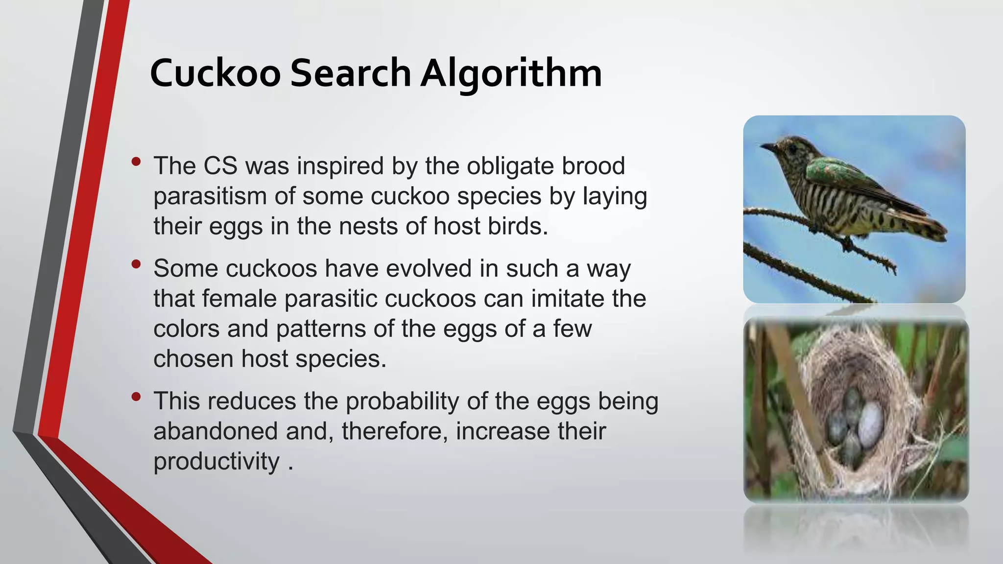 Cuckoo Search Algorithm - Beyazıt Kölemen | PPTX | Birdwatching ...