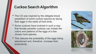 Cuckoo Search Algorithm - Beyazıt Kölemen | PPTX | Birdwatching | Hobbies & Interests