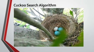 Cuckoo Search Algorithm - Beyazıt Kölemen | PPTX | Birdwatching | Hobbies & Interests