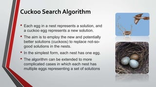 Cuckoo Search Algorithm - Beyazıt Kölemen | PPTX | Birdwatching ...