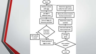 Cuckoo Search Algorithm - Beyazıt Kölemen | PPT