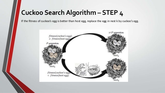 Cuckoo Search Algorithm - Beyazıt Kölemen