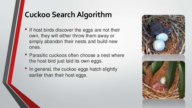 Cuckoo Search Algorithm - Beyazıt Kölemen