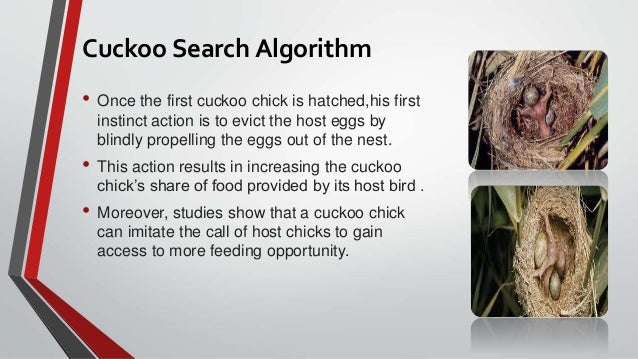 Cuckoo Search Algorithm - Beyazıt Kölemen