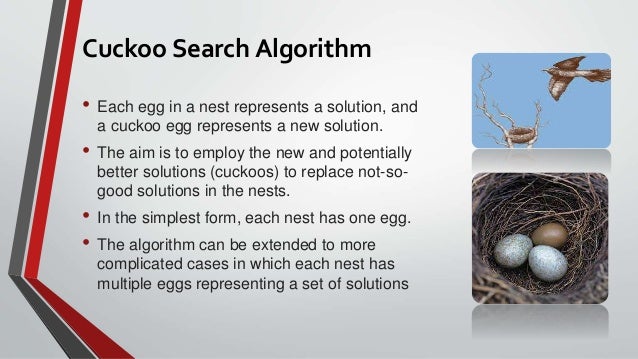 Cuckoo Search Algorithm - Beyazıt Kölemen