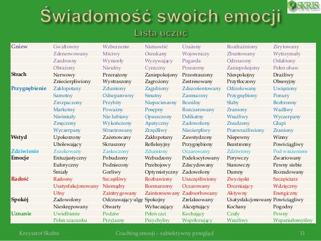 Coaching emocji-subiektywny-przeglad