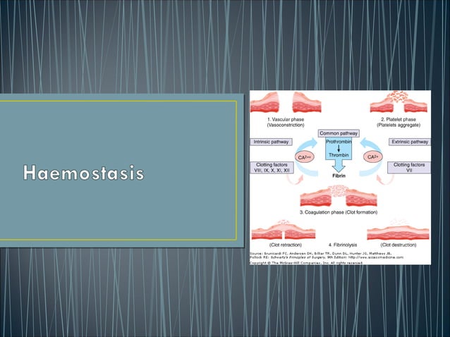 Haemostasis and Bleeding Disorders | PPT | Blood Disorders | Diseases ...