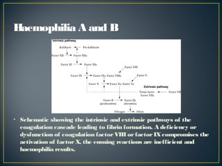 Haemostasis and Bleeding Disorders | PPT