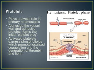 Haemostasis and Bleeding Disorders | PPT