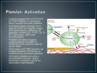 Haemostasis and Bleeding Disorders | PPT