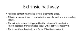 Coags.pptx | Blood Disorders | Diseases and Conditions