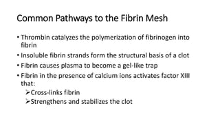 Coags.pptx | Blood Disorders | Diseases and Conditions